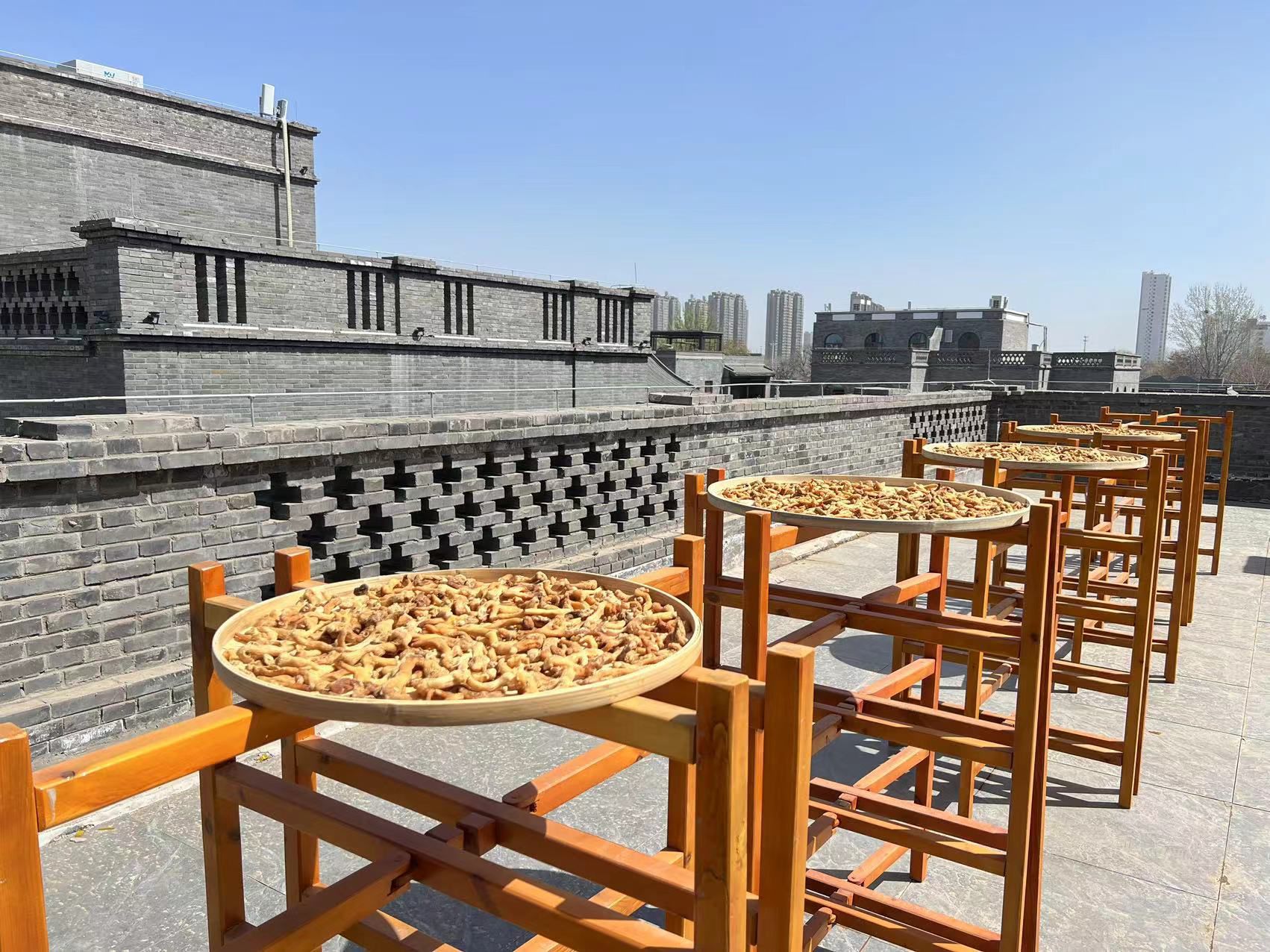 Beijing and Baoding Traditional Chinese Medicine Study Tour - 香港保健食品協會